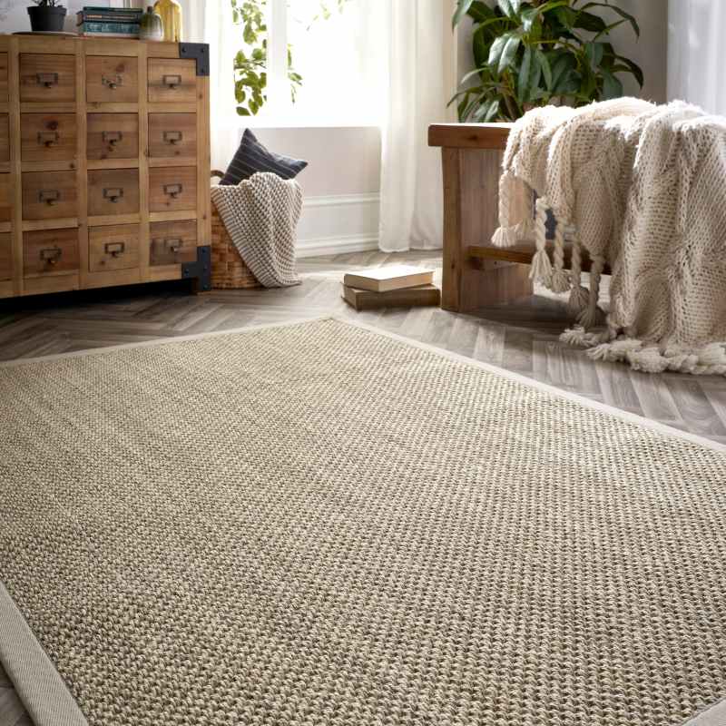 Origins Sisal Woven Border Textured Rug in Light Beige – The Rug Seller