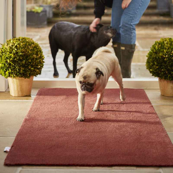 Plain Fleck Washable Hug Rug Doormat in Terracotta – The Rug Seller